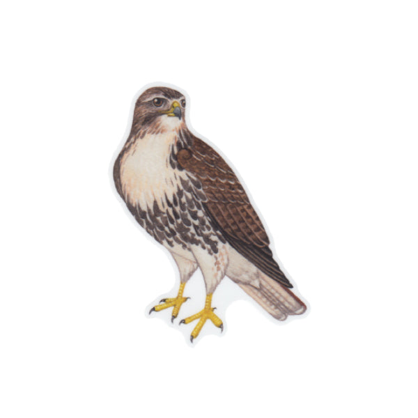 Wholesale Vinyl Sticker: Red-tailed Hawk – Kate Dolamore Art Wholesale