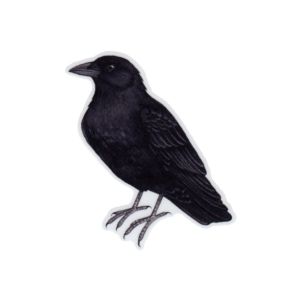 Wholesale Vinyl Sticker: American Crow – Kate Dolamore Art Wholesale
