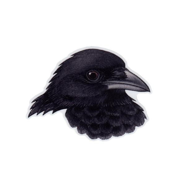 Wholesale Vinyl Sticker: American Crow Portrait – Kate Dolamore Art ...